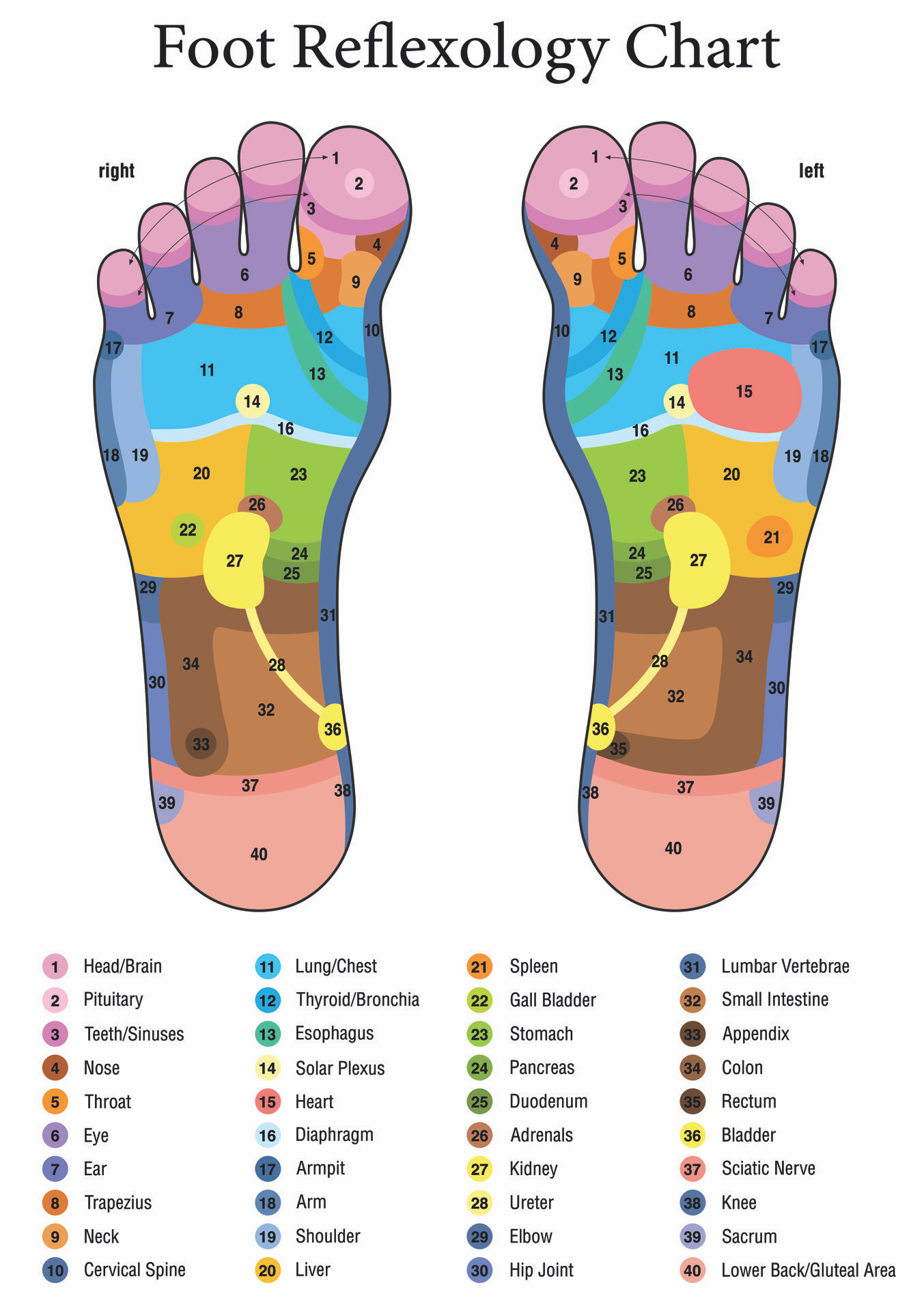 Voetreflex - Maria's voetreflextherapie